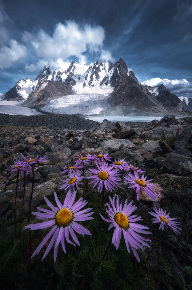 Fuji stellt die neue X-H2 und das XF 56mm R WR vor